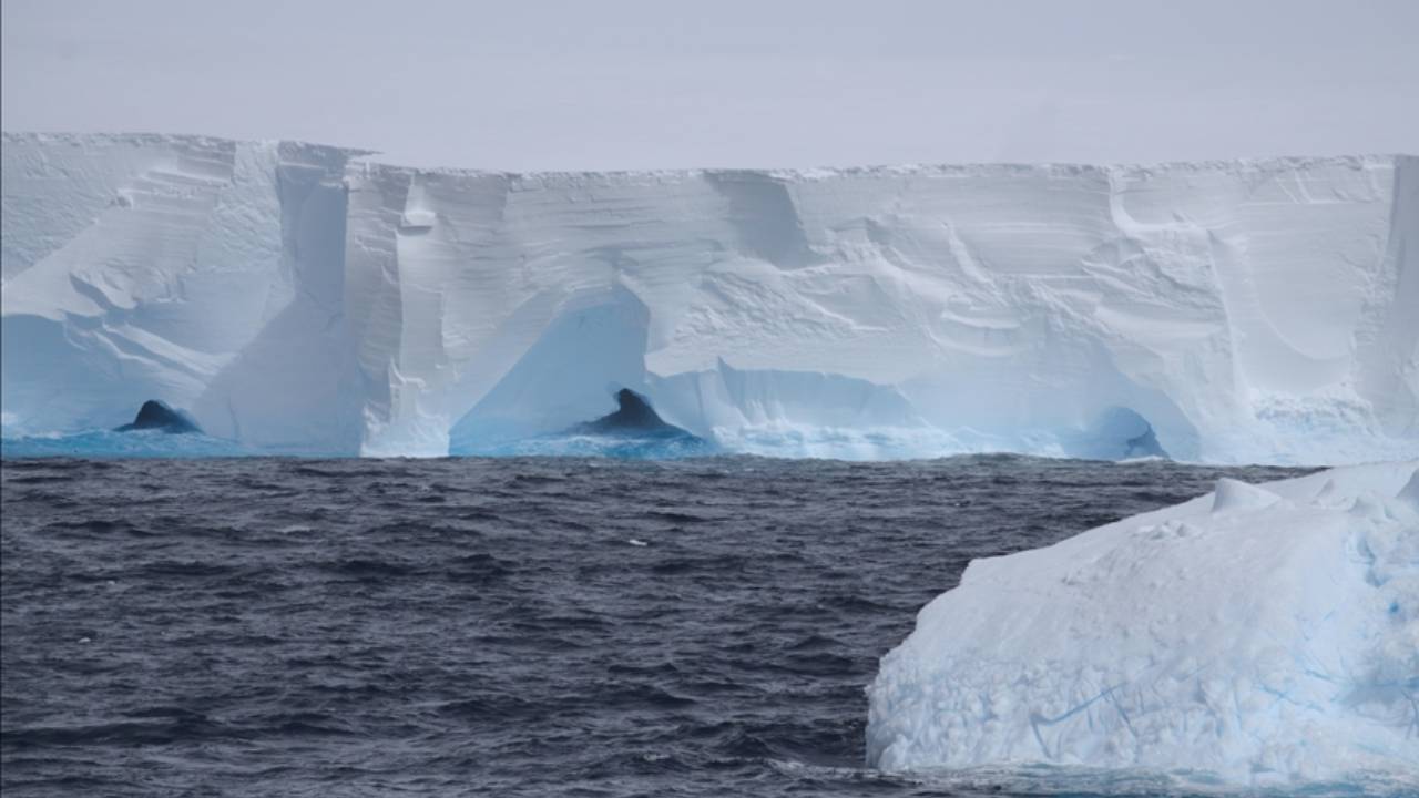 Dünyanın En Büyük Buz Dağı Bir Ay İçinde Parçalanabilir - Yeşil İş ...