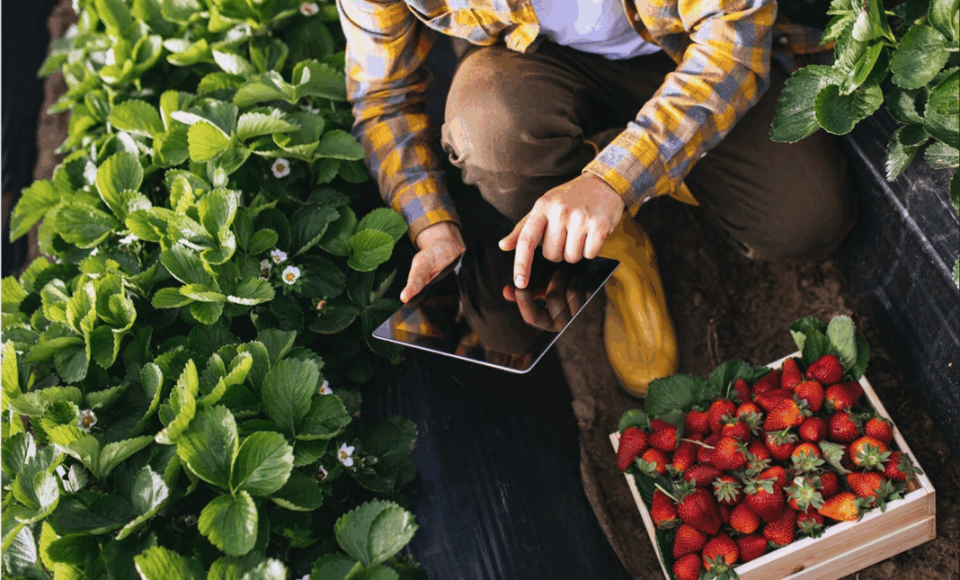 Bayer, ResiYou ile Güvenilir Üretimi Destekliyor | Yeşil İş Platformu